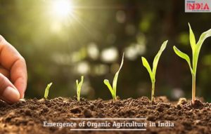 Organic Farming in India, Organic Farming Definition, Methods, & Benefits