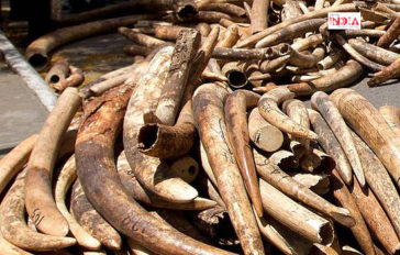 Ivory Handicrafts in India - Detailed Overview of Ivory Handicrafts of ...