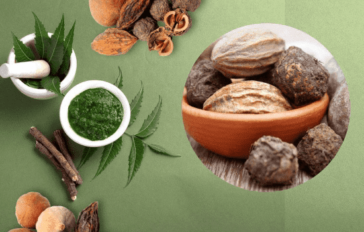 Triphala and its Numerous Health Benefits - Top 10 Benefits Of Triphala
