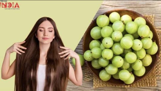 10 Best Amla Products for Gorgeous Hair and Skin Shine