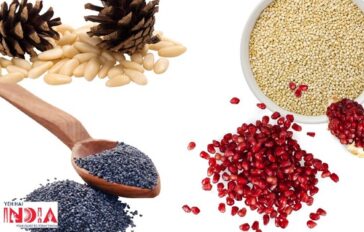 Top 6 Edible Seeds With Great Health Benefits
