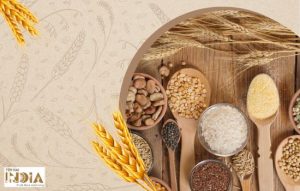 Best Fortified Breakfast Cereals: Are they what they seem to be?