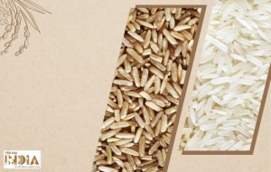 Parboiled Rice vs Polished Rice - A Complete Guide for Comparison